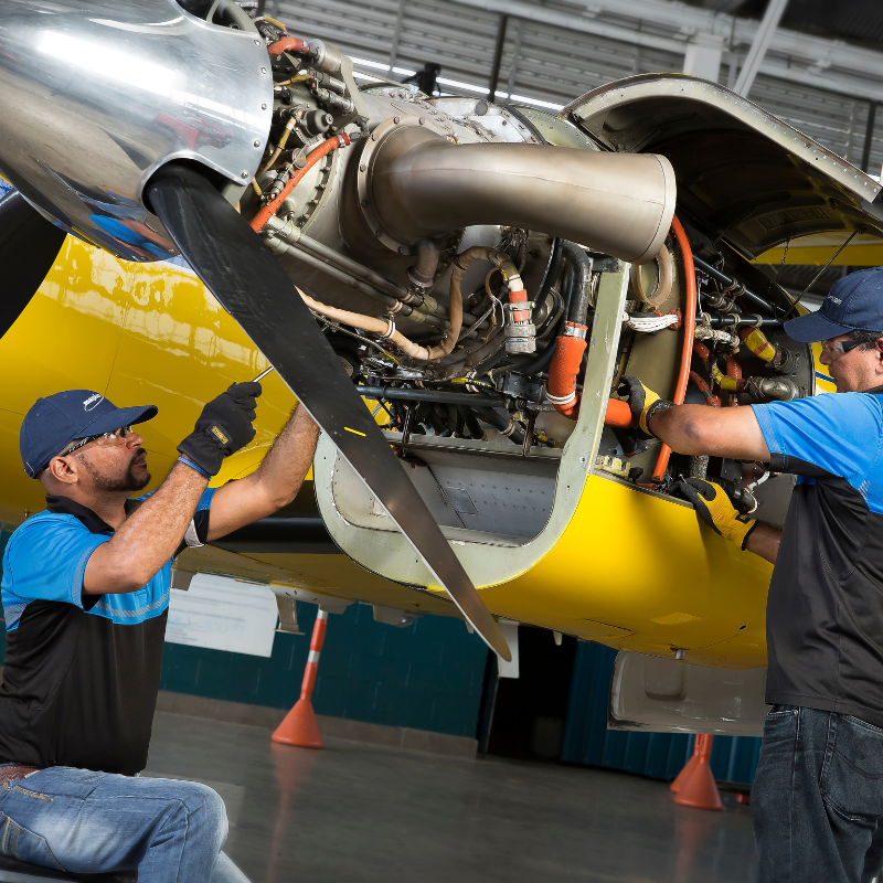 Workshop - Mapiex International